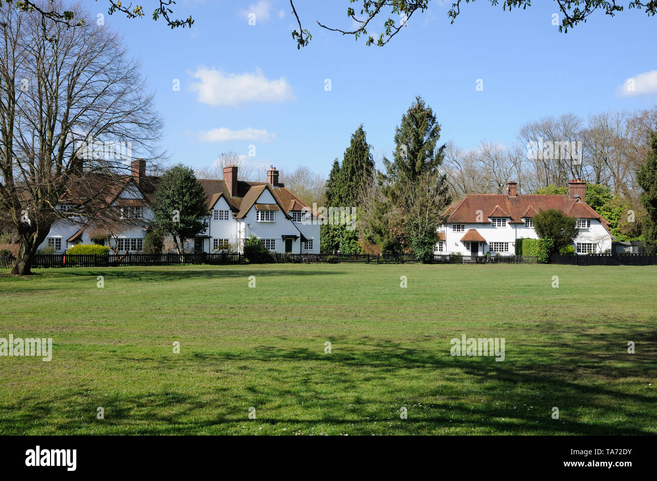 White cottages beside the green, Aldenham, Hertfordshire, were built by ...