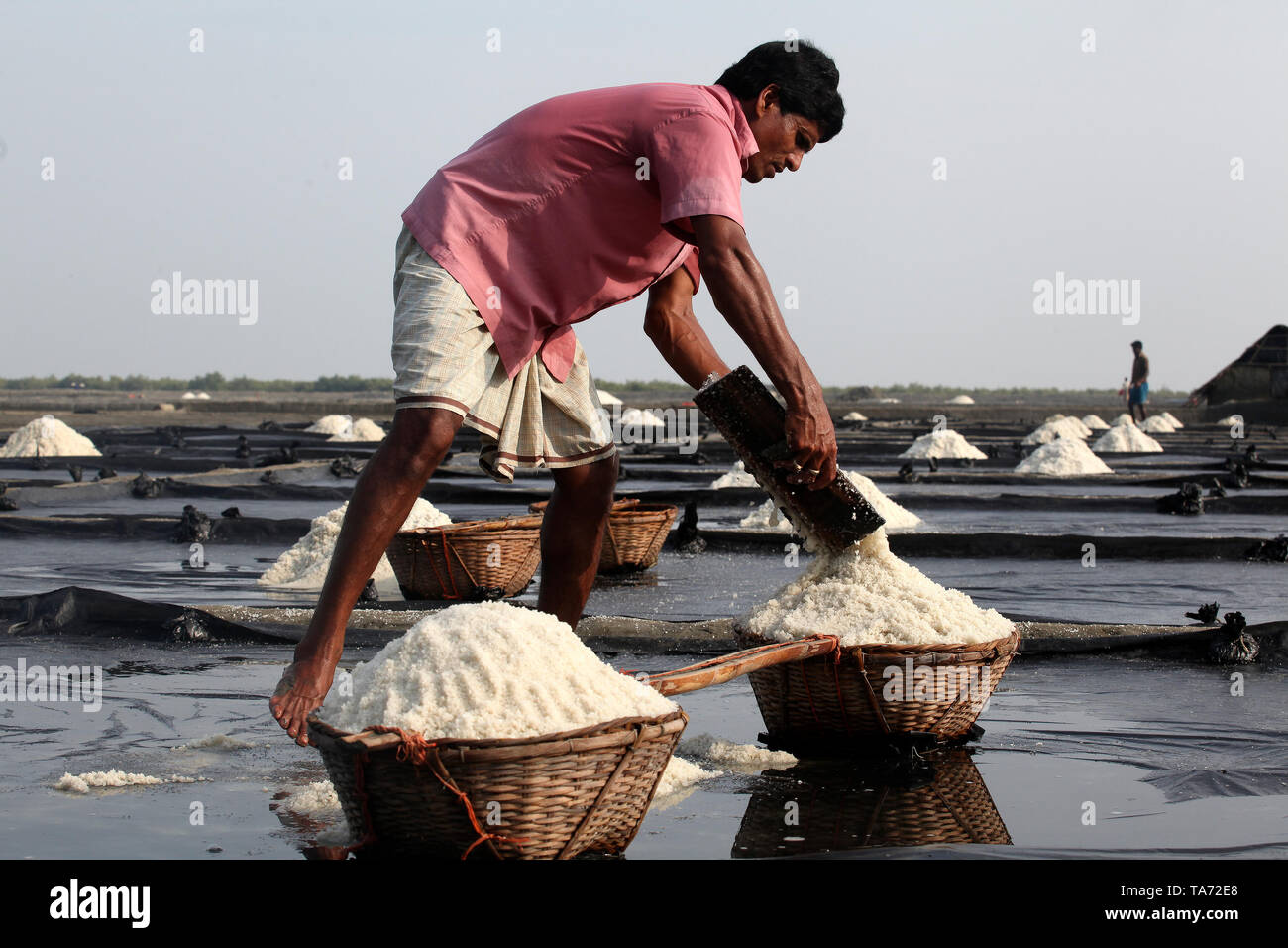 Salt Industry an industry for producing salt from saline water of the ...