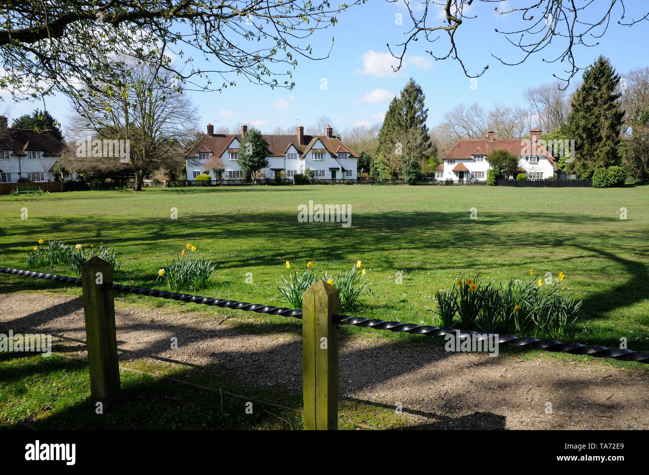White cottages beside the green, Aldenham, Hertfordshire, were built by ...