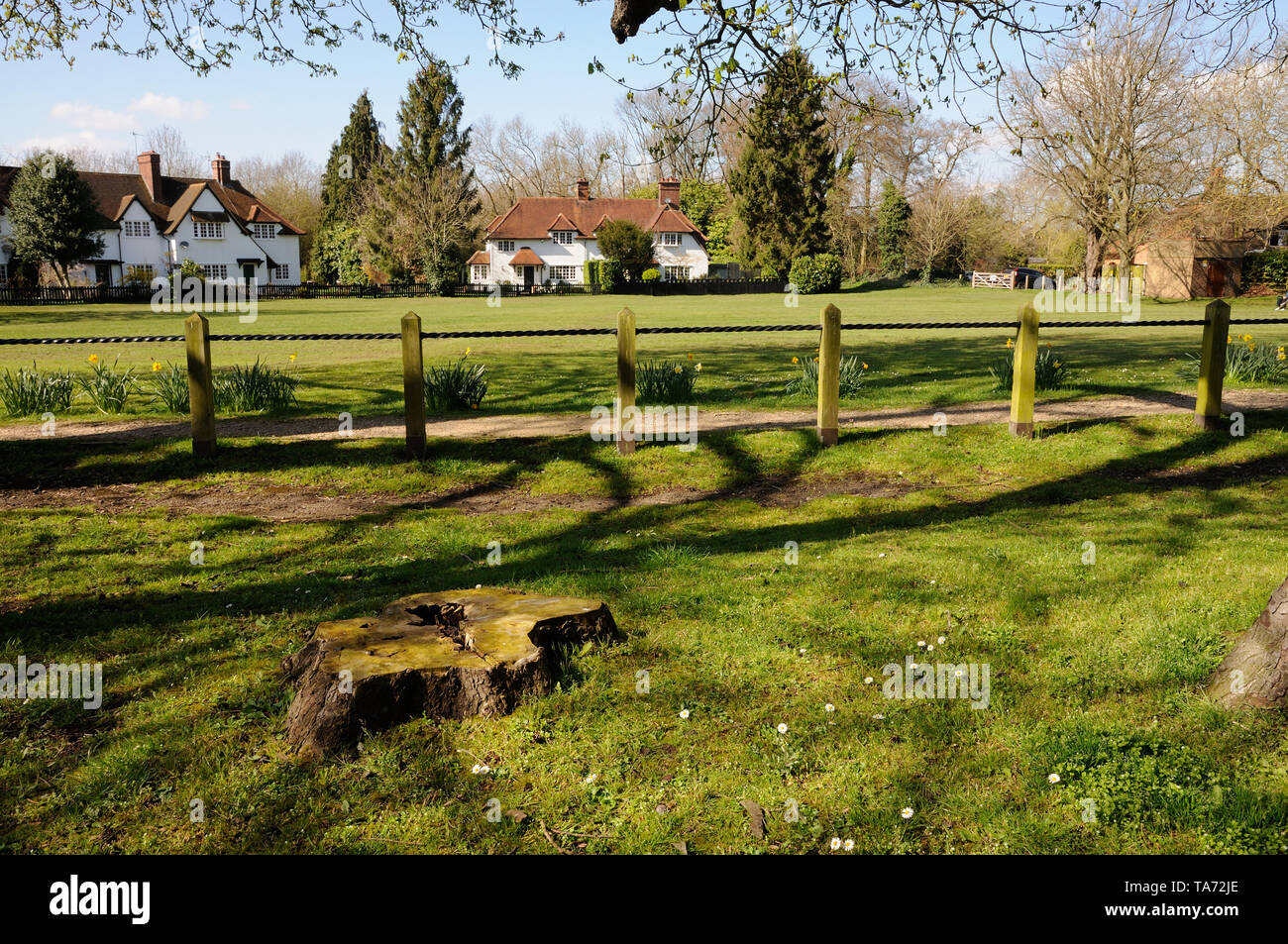 White cottages beside the green, Aldenham, Hertfordshire, were built by ...