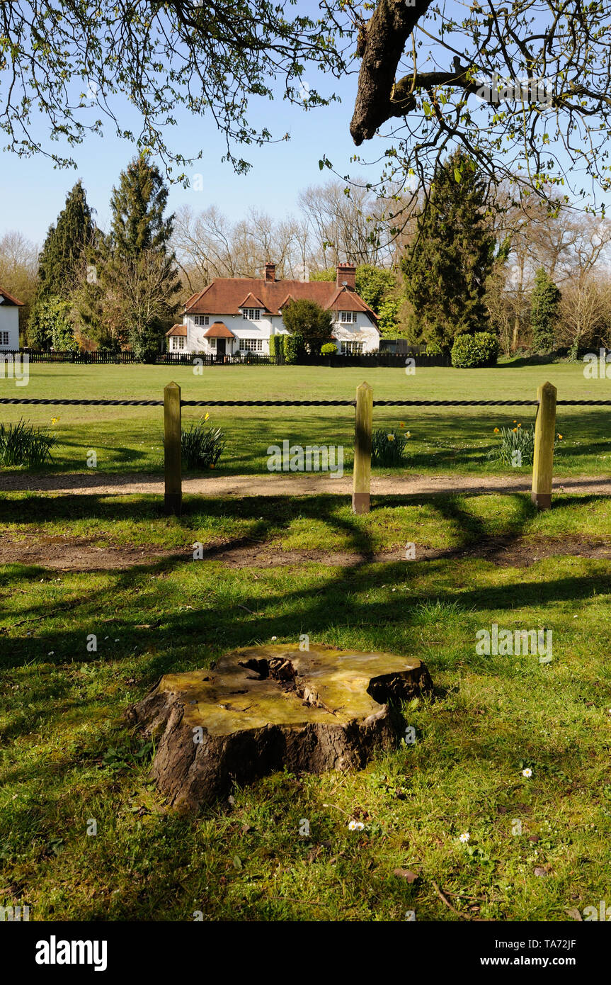 White cottages beside the green, Aldenham, Hertfordshire, were built by ...