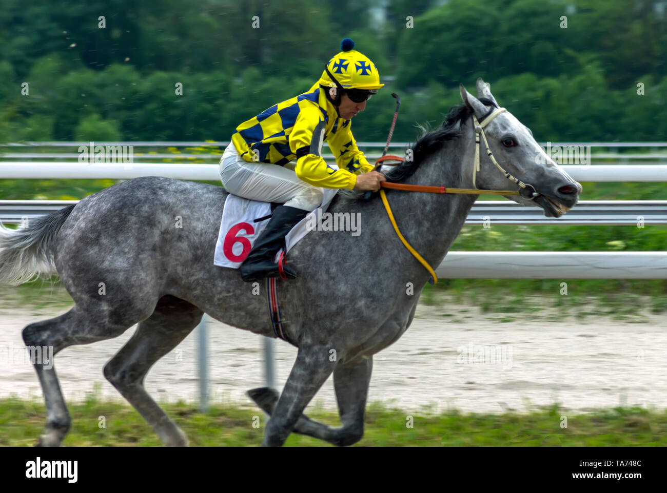 Russian racehorse hi-res stock photography and images - Alamy