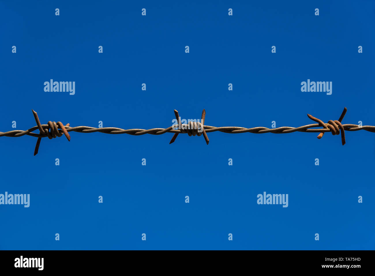 Barbed wire strands with azure sky as background Stock Photo - Alamy