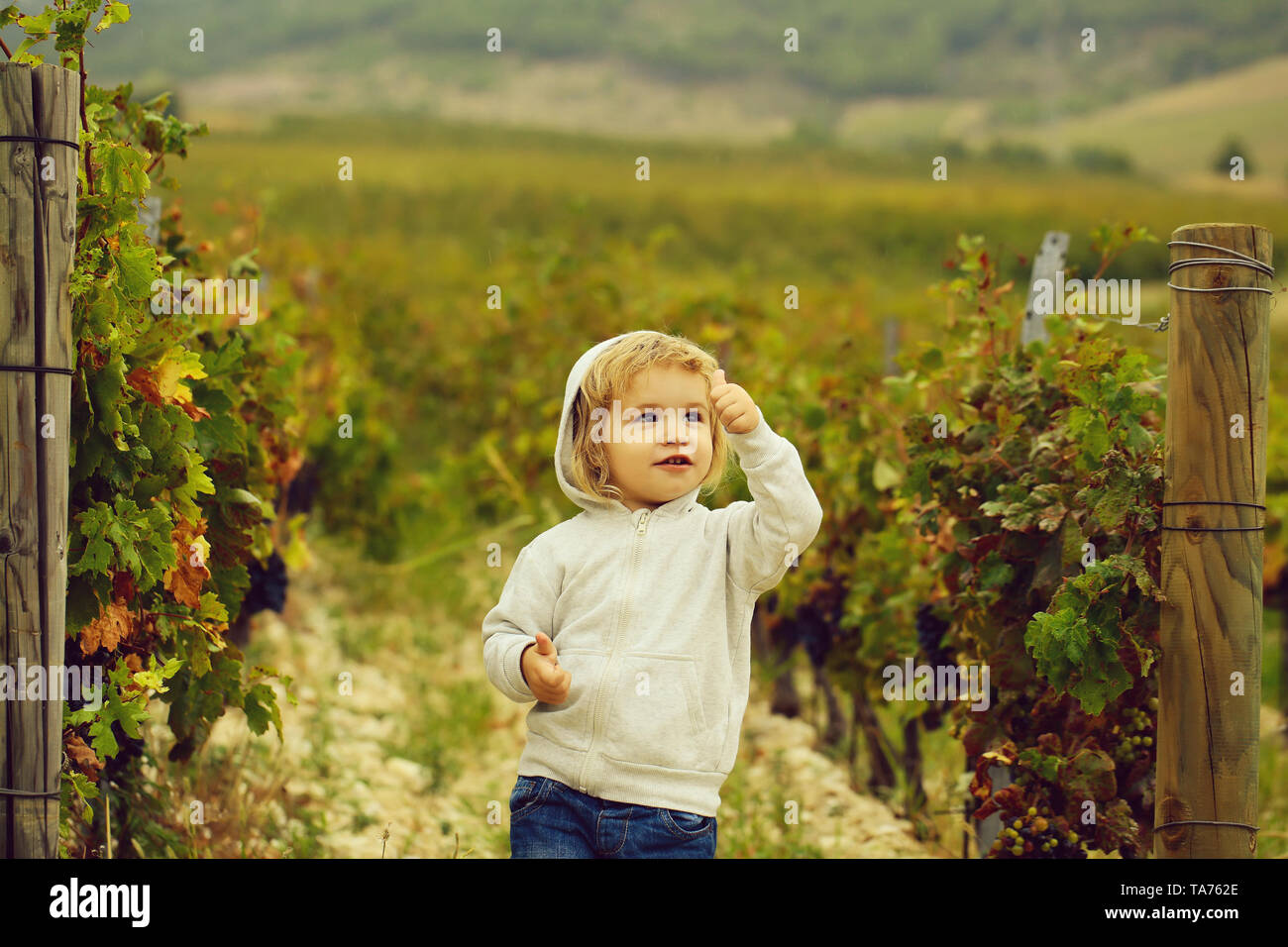 Cute boy curly blond hi-res stock photography and images - Alamy
