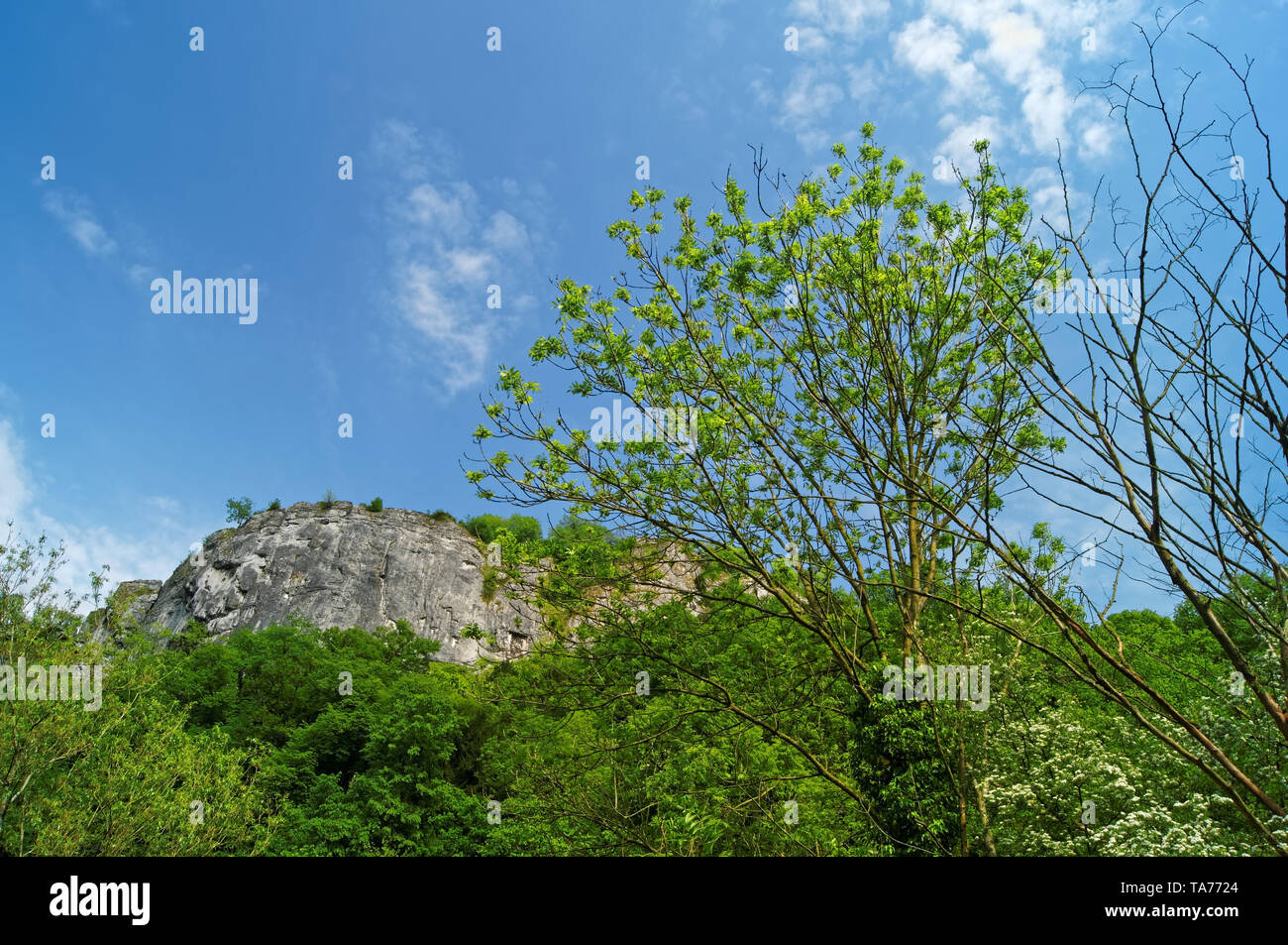 UK, Derbyshire, Matlock Bath, High Tor Stock Photo - Alamy