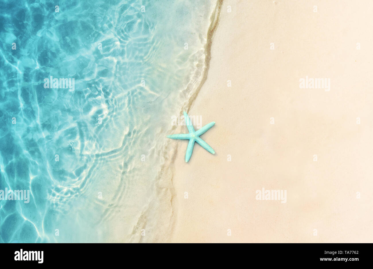 Starfish on seashore summer hi-res stock photography and images - Alamy
