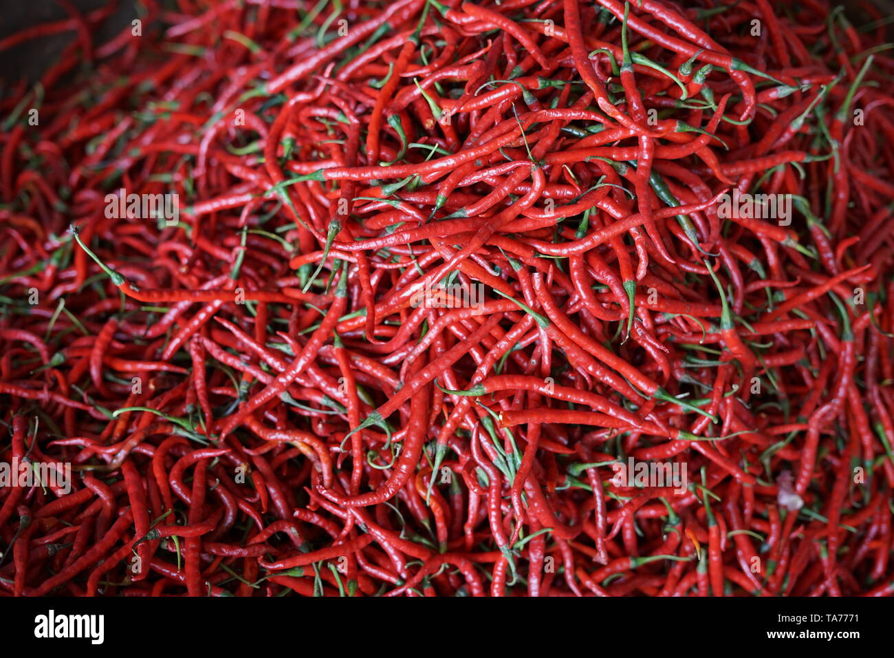 Fresh Hot Red Chilli Peppers on big basket at Traditional Market Stock ...