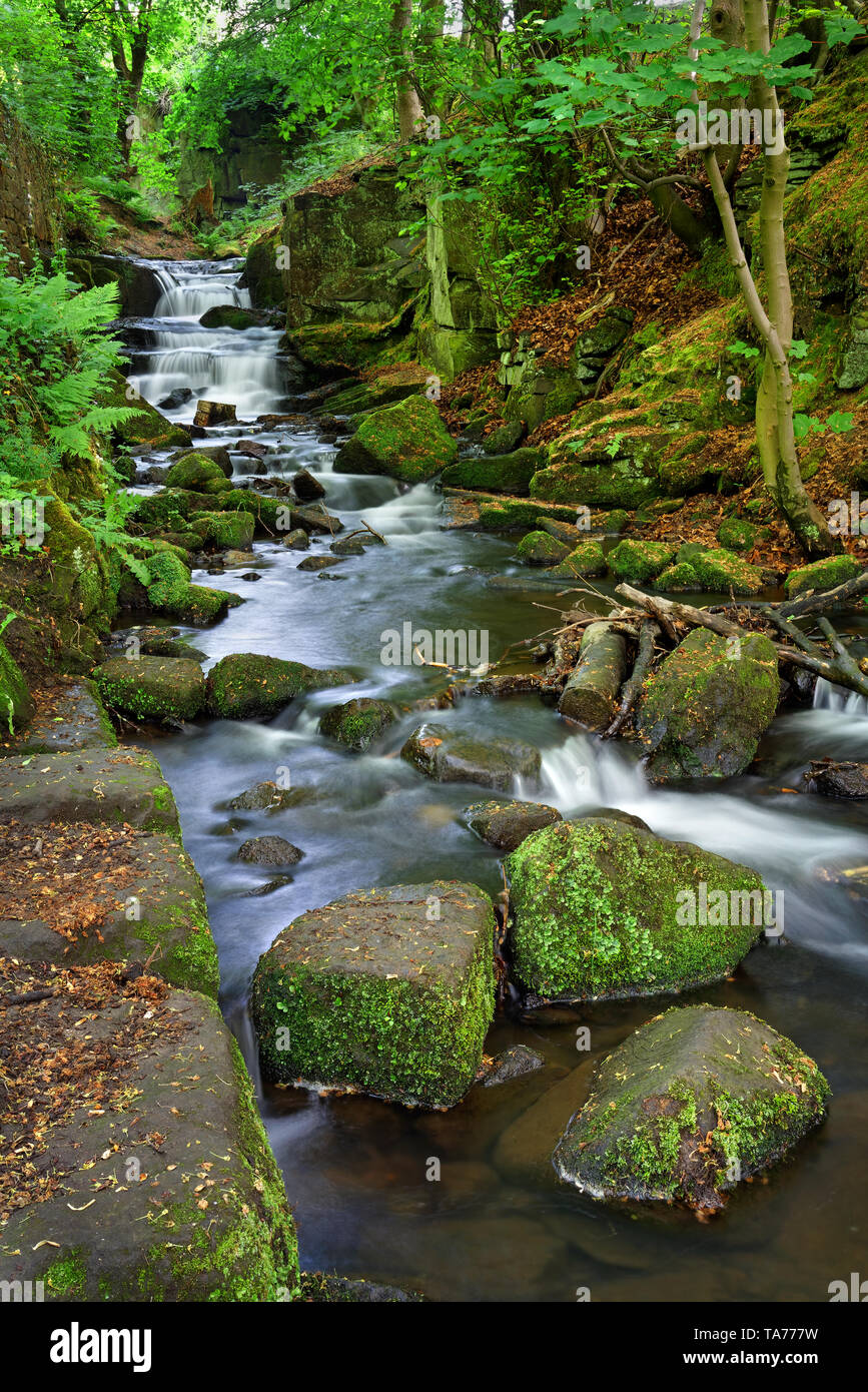 Lumsdale Matlock High Resolution Stock Photography and Images - Alamy