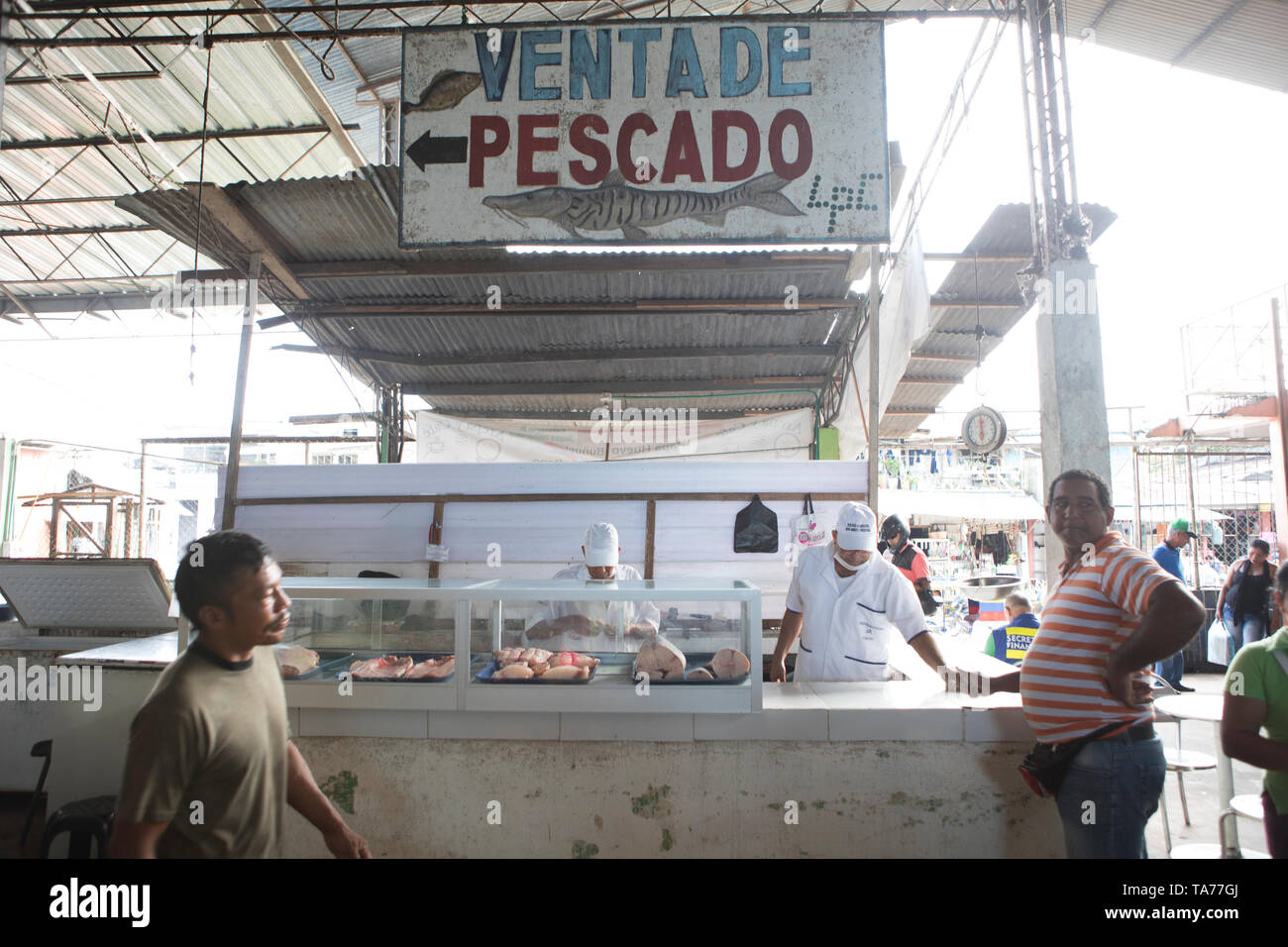 pirarucu fish on sale i the Columbian market of Leticia Stock Photo - Alamy