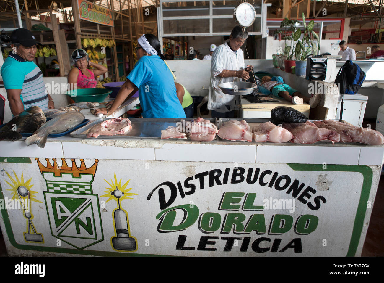 Pirarucu fishing hi-res stock photography and images - Alamy