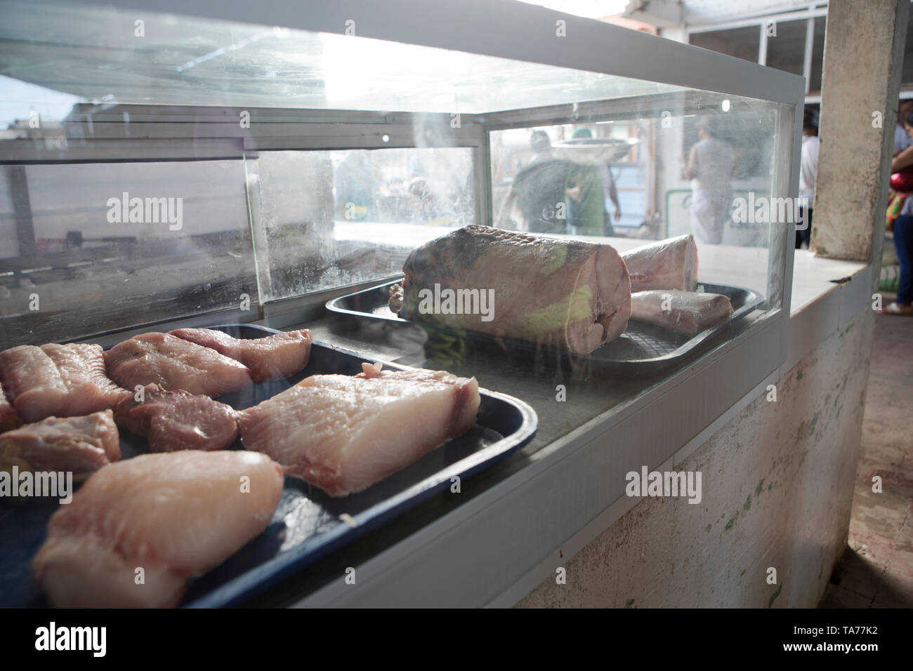 pirarucu fish on sale i the Columbian market of Leticia Stock Photo - Alamy