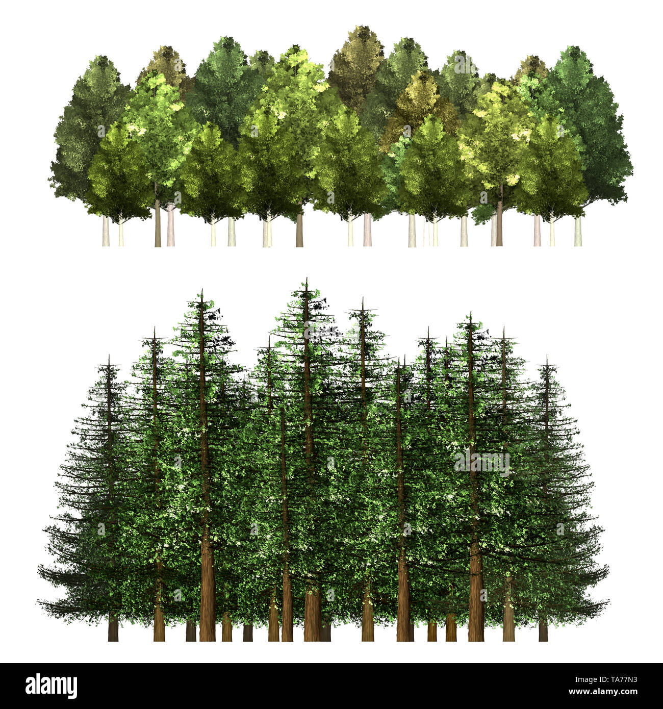 Green Forrest tree background. 2 set Illustration tree Stock Photo - Alamy