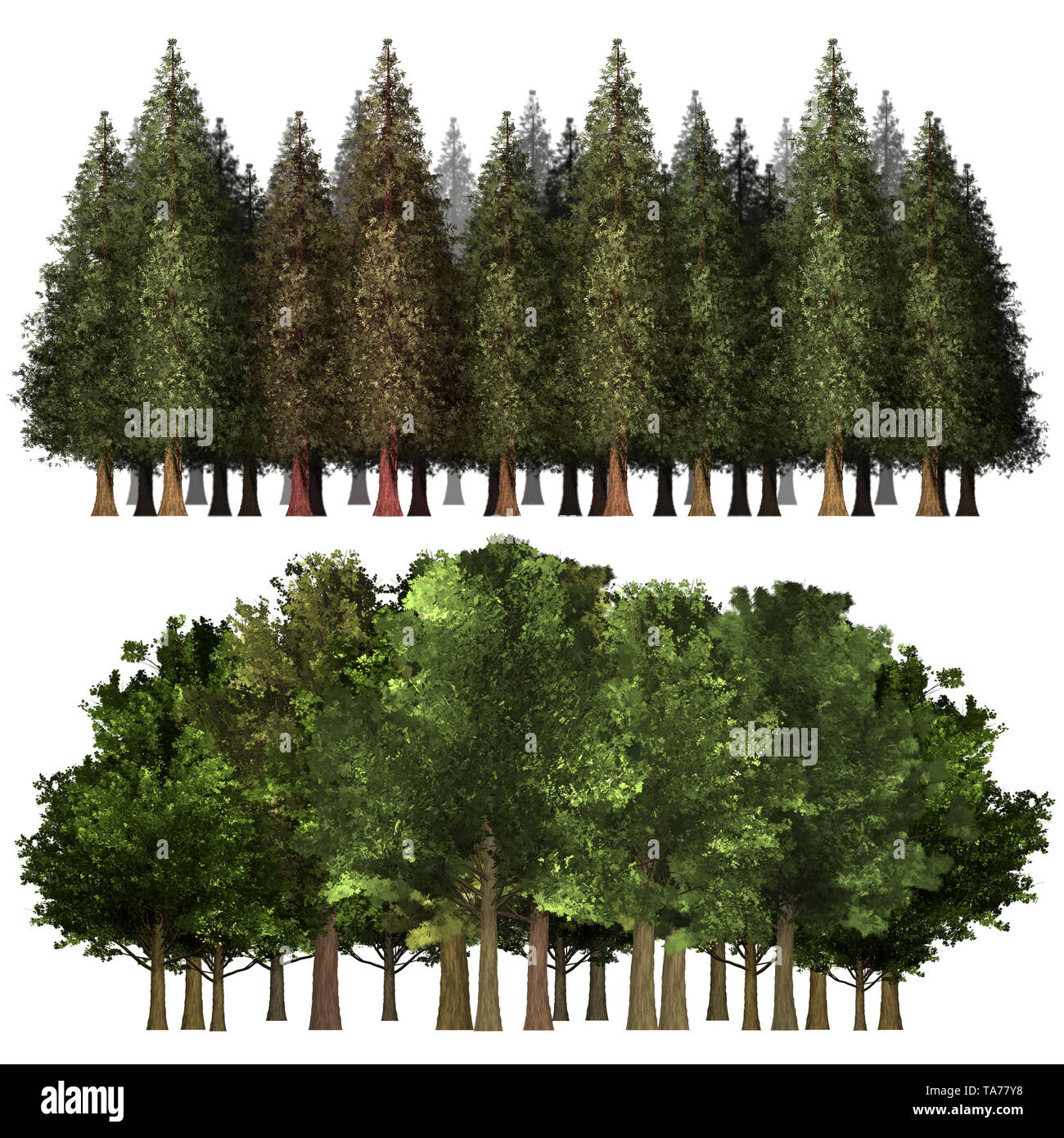 Green Forrest tree background. 2 set Illustration tree Stock Photo - Alamy