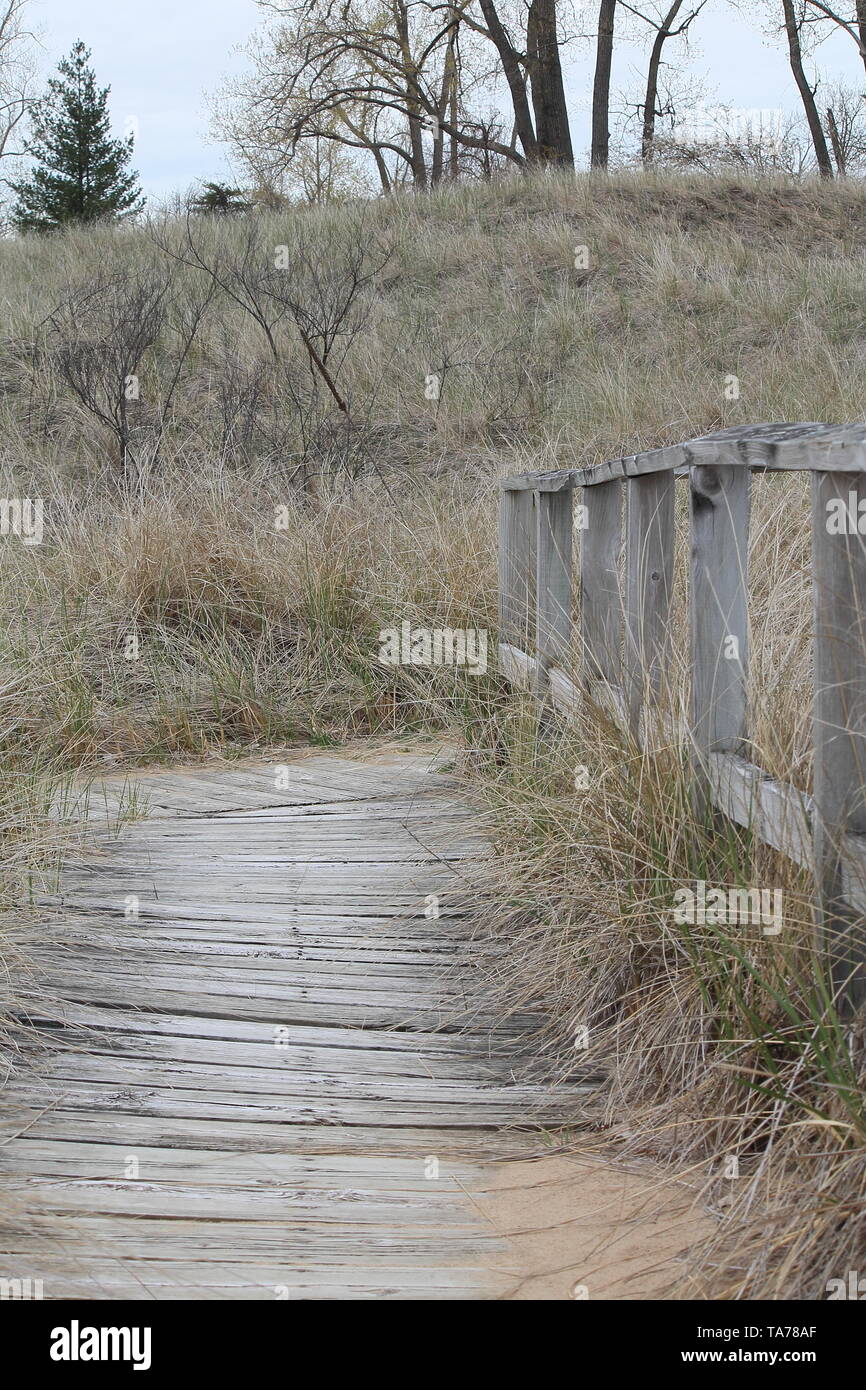 Wooden path through vegetated dunes in Michigan Stock Photo - Alamy