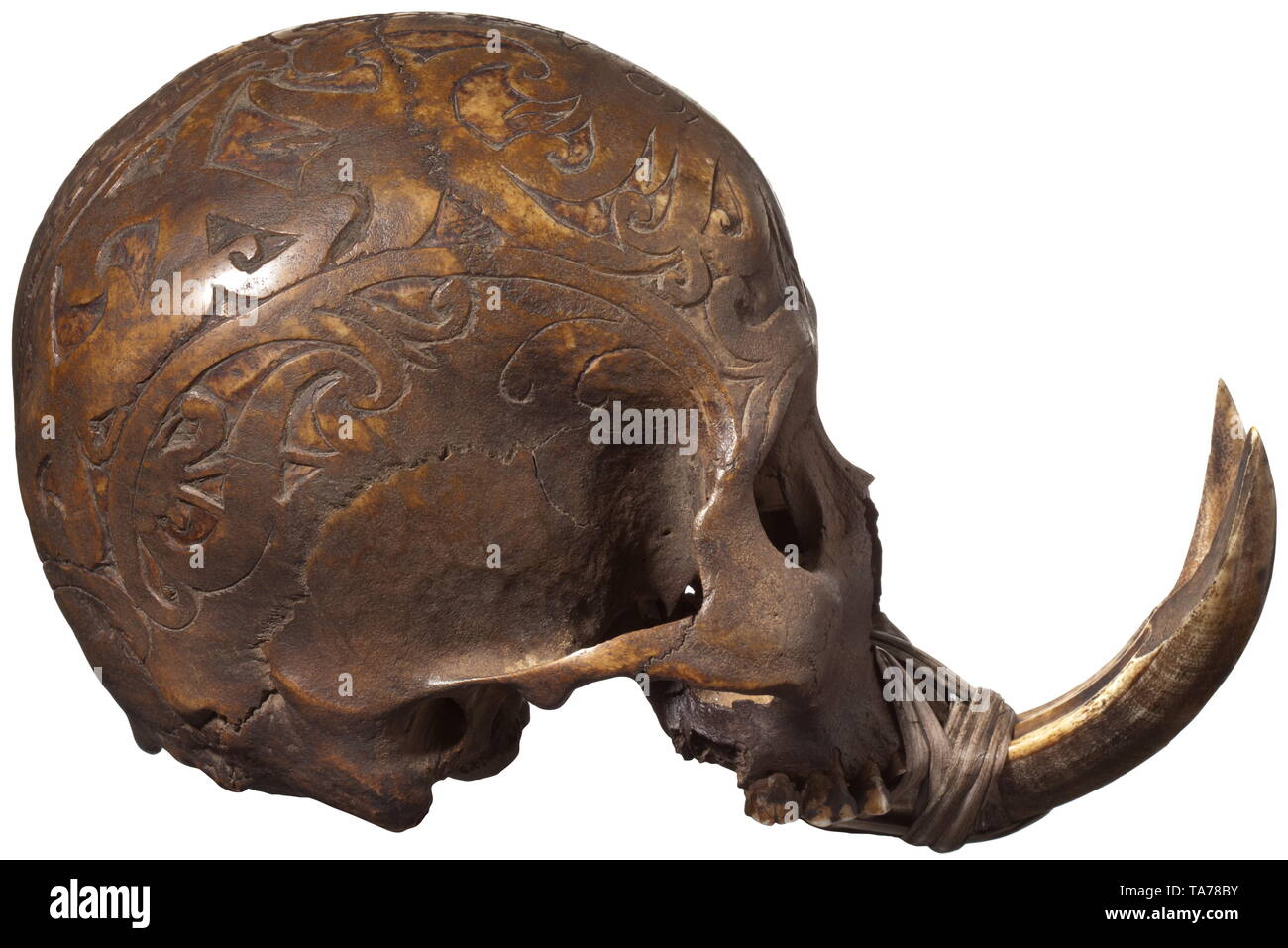 A Dayak trophy skull, Borneo Elaborately carved skull, the entire ...