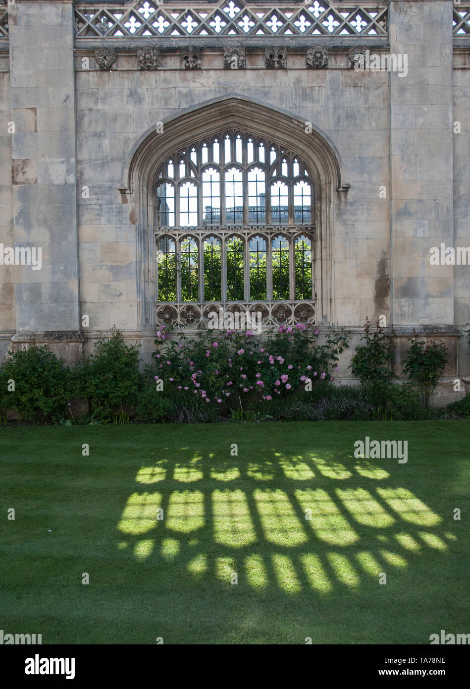 View of the King's College Screen, Cambridge, UK Stock Photo - Alamy