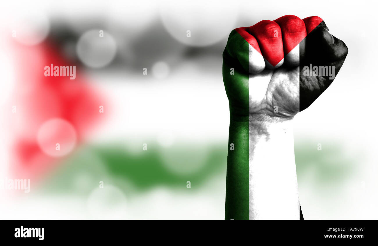 Flag of Palestine painted on male fist, strength,power,concept of ...
