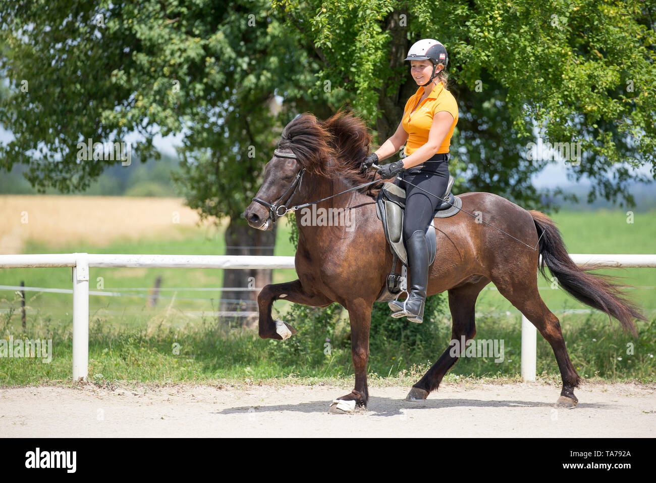 Ridden horse hi-res stock photography and images - Alamy
