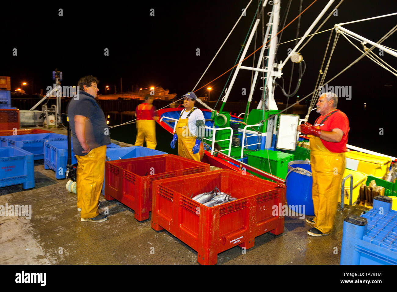 ALBACORE - BONITO DEL NORTE O ATÚN BLANCO (Thunnus alalunga), Santoña ...