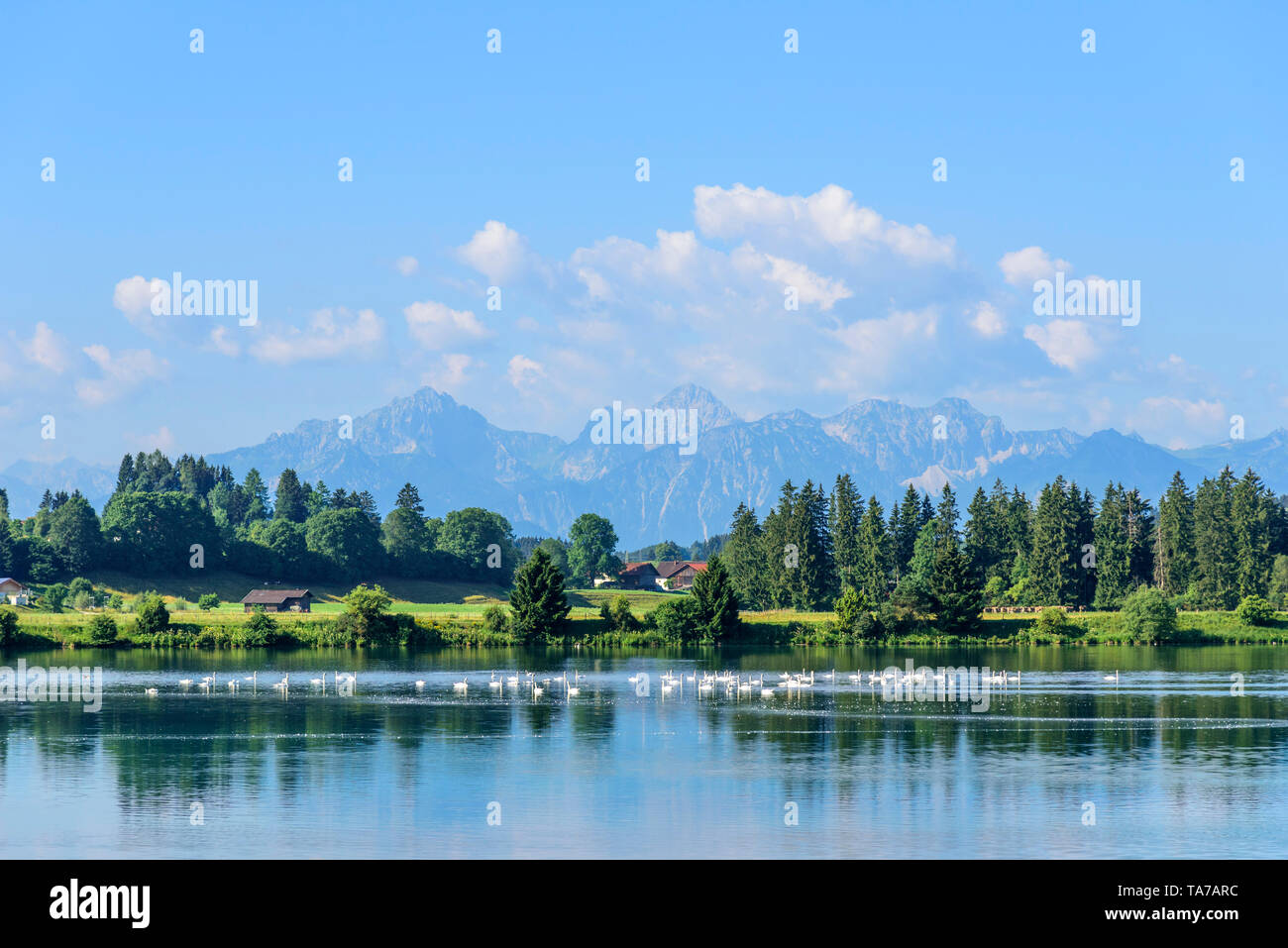 Summer morning at the idyllic Lech lake near Lechbruck in bavaria Stock ...