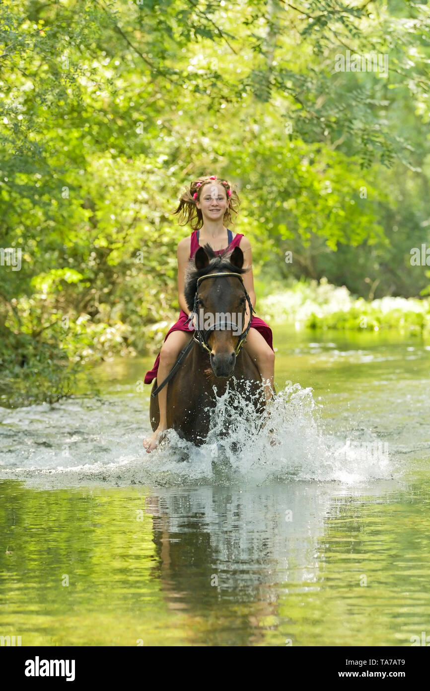 German Riding Pony. Girl on back of bay horse riding bareback in a ...