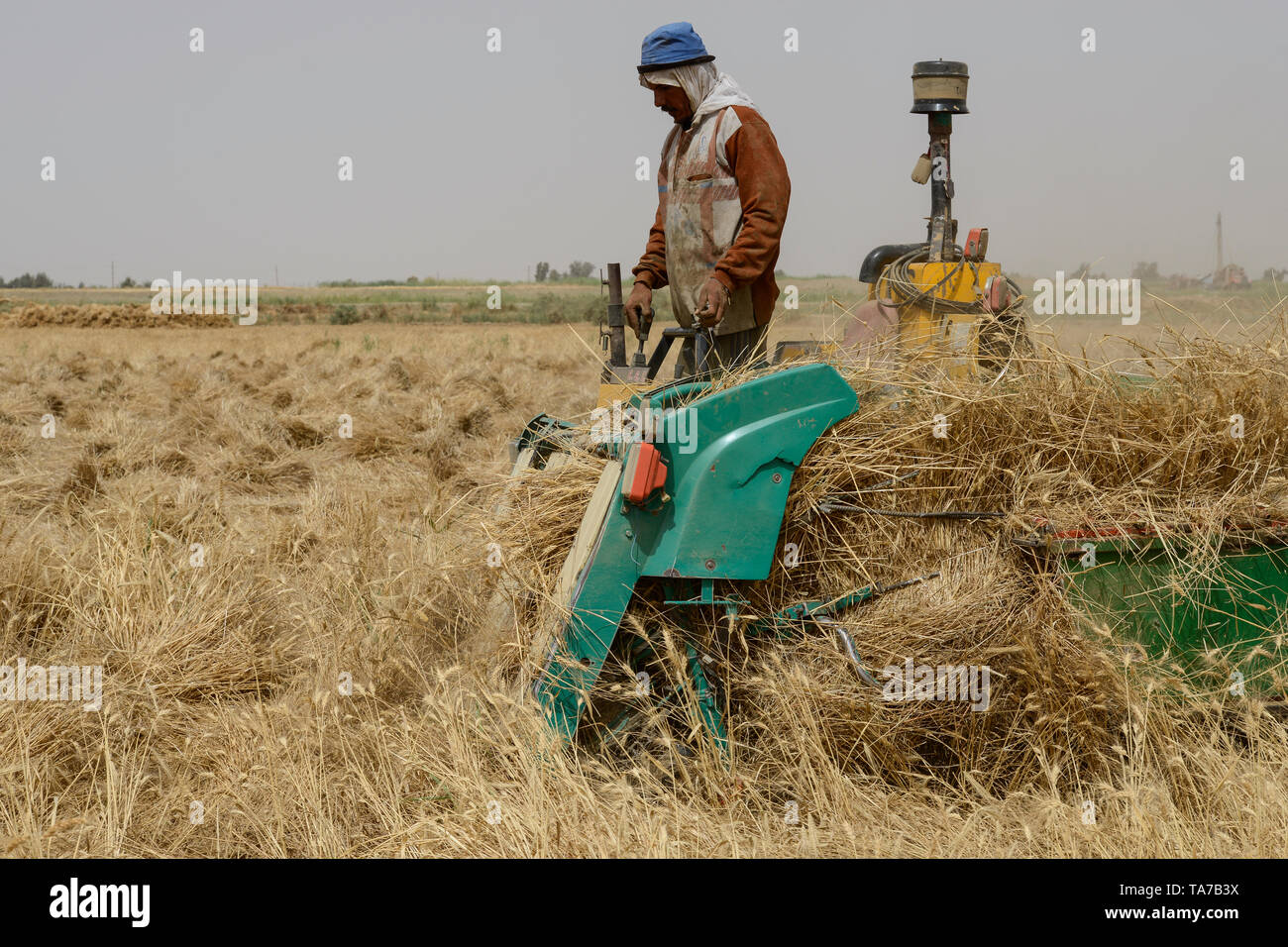 Small scale peasant economy hi-res stock photography and images - Alamy