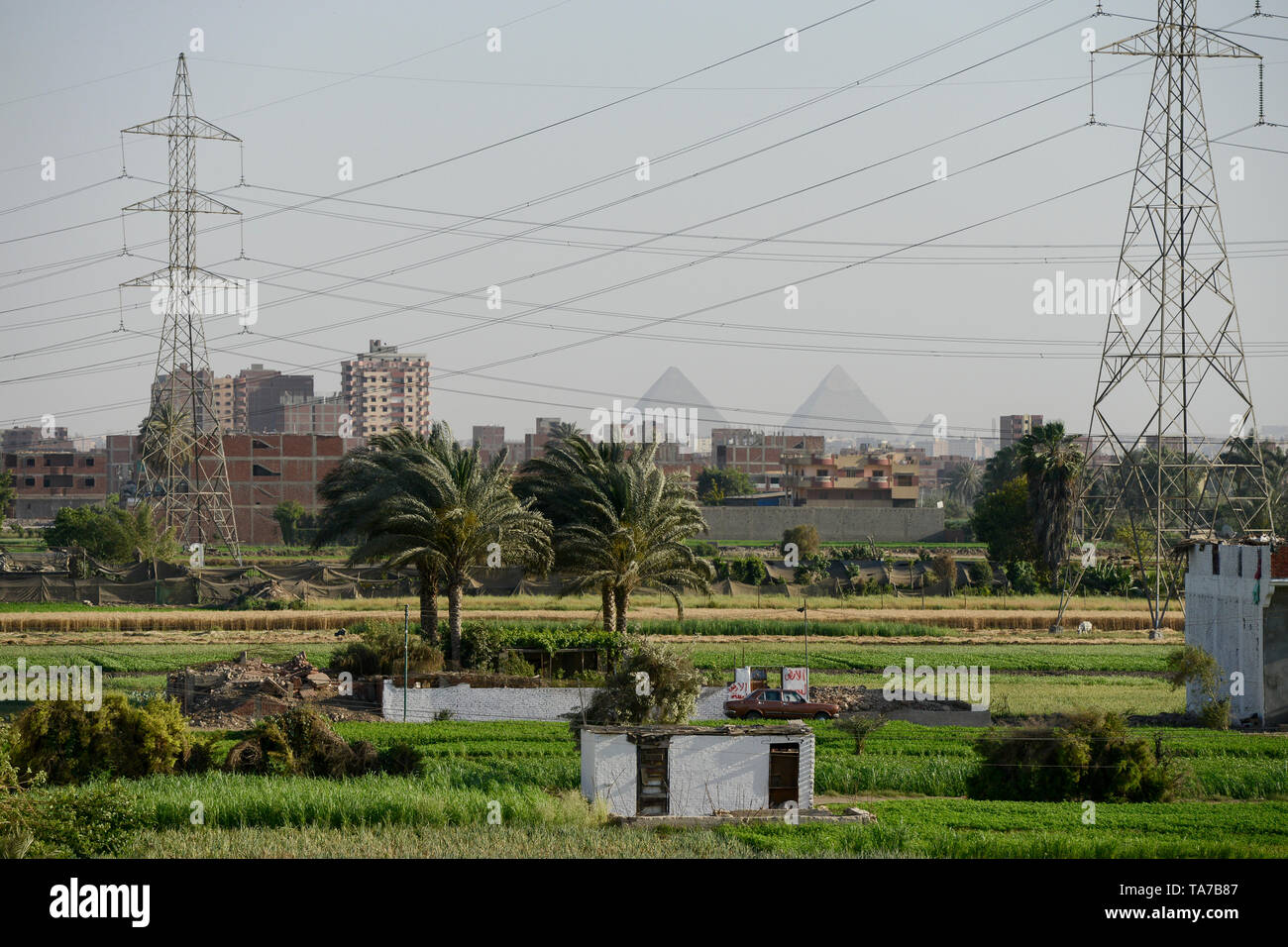 Agriculture Cairo Egypt Field High Resolution Stock Photography and ...