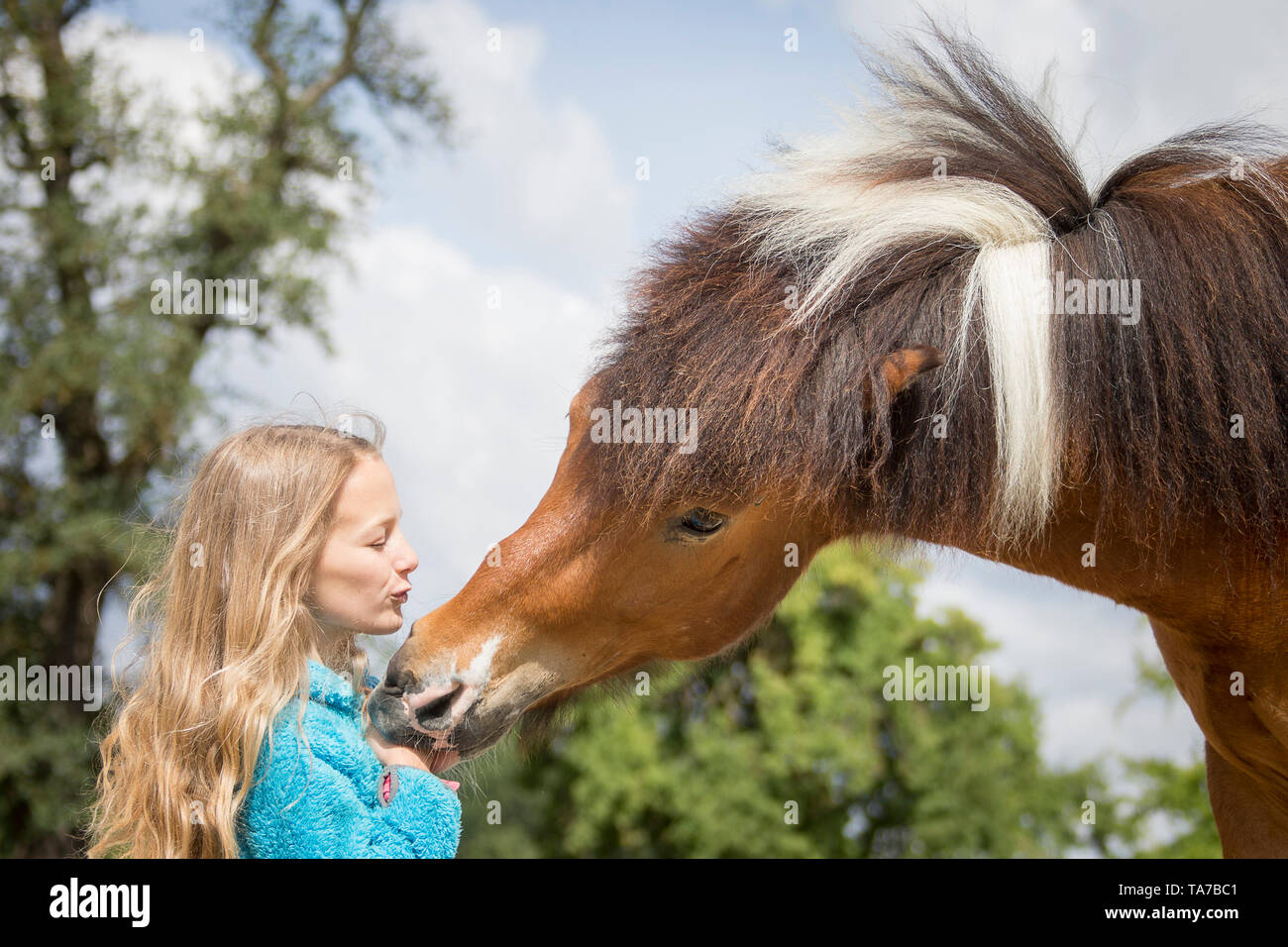 Pinto horse hi-res stock photography and images - Alamy