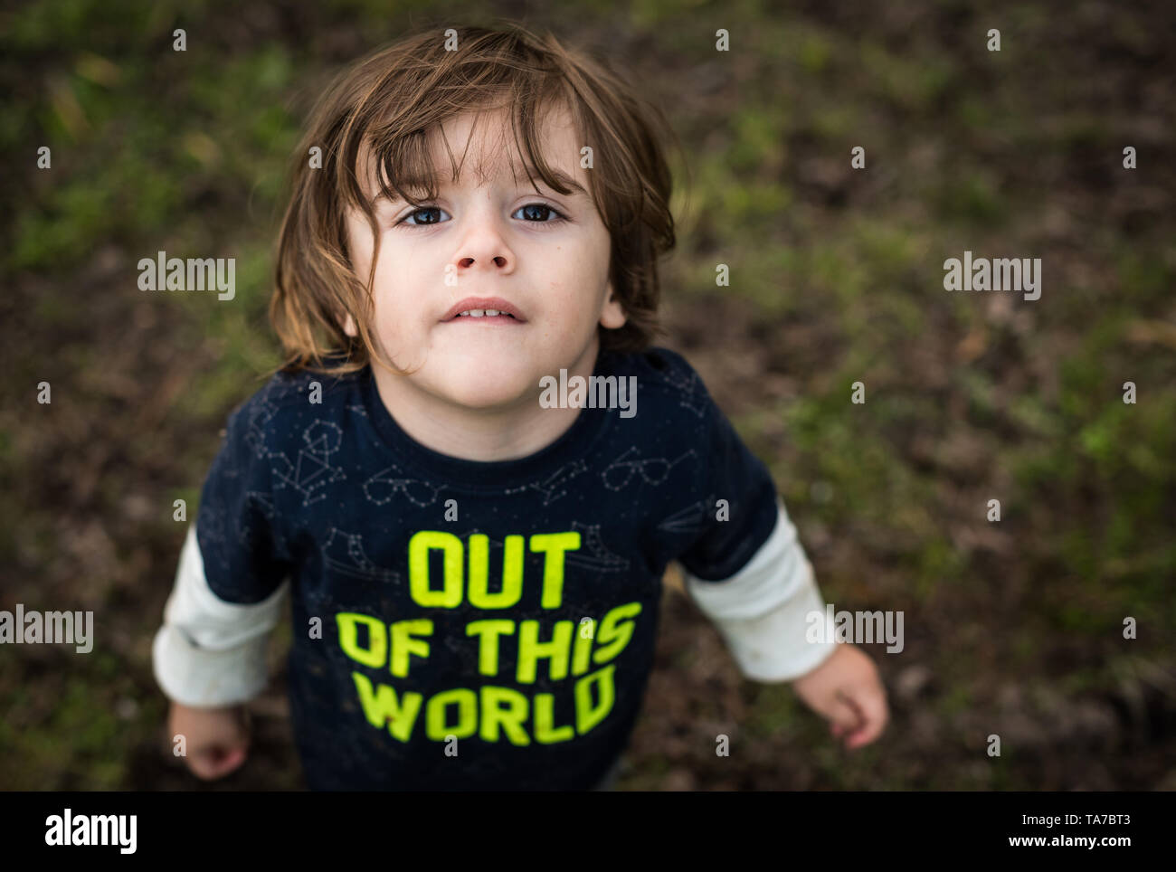 adorable toddler boy looking up at camera with begging face grass and ...