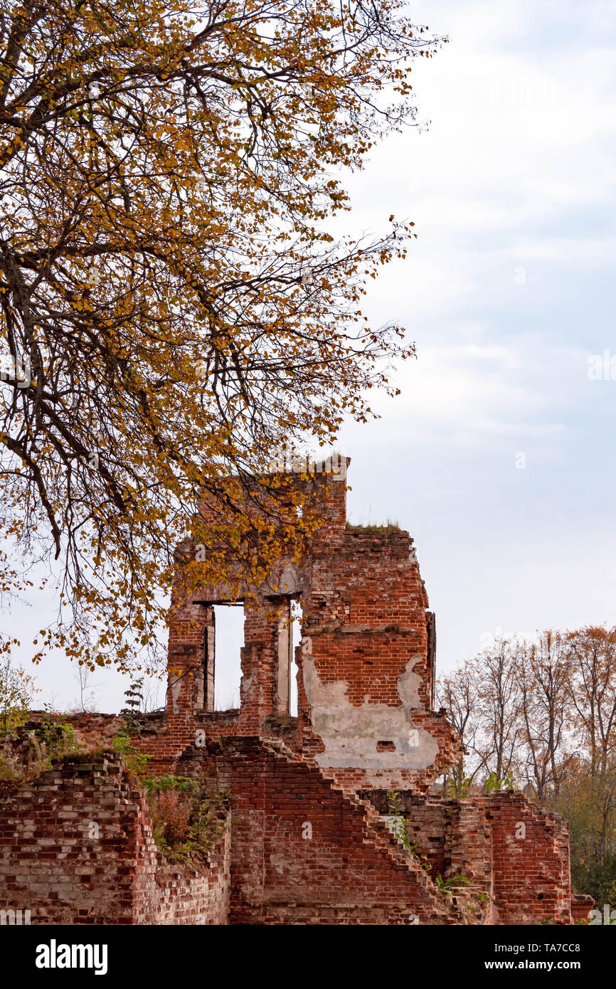 Beautiful view of old ruined historic red brick walls building in ...