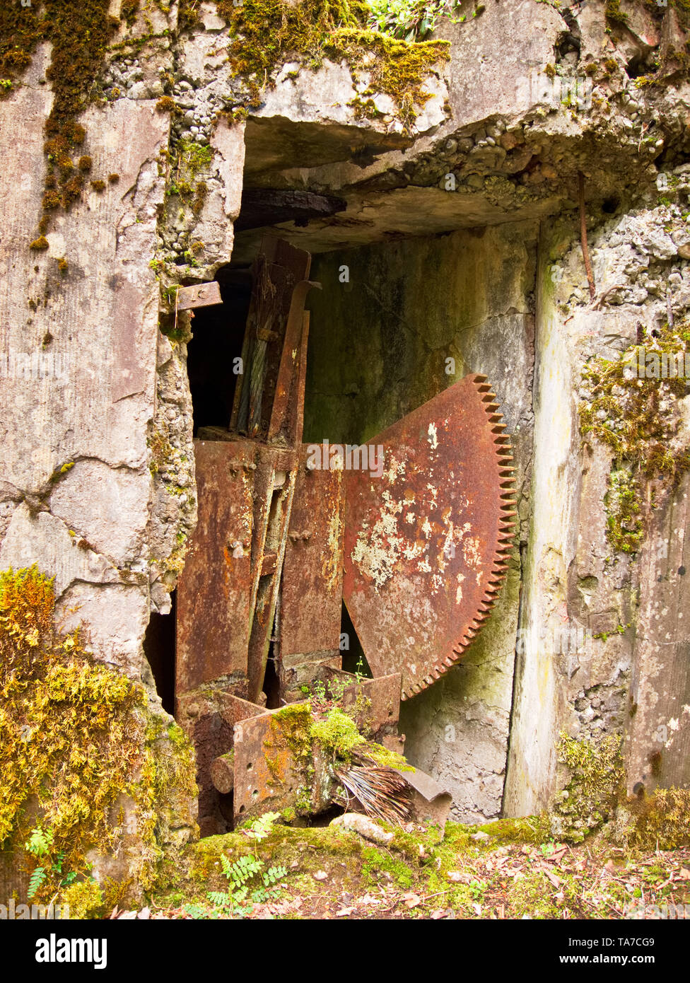 Gun bunker hi-res stock photography and images - Alamy