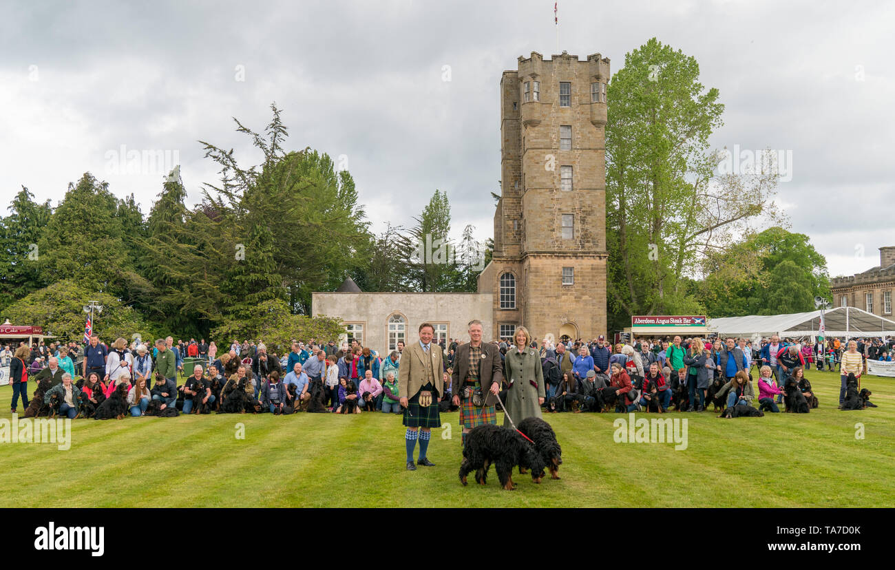 19 May 2019, Gordon Castle, Fochabers, Moray, Scotland, UK. This is a ...