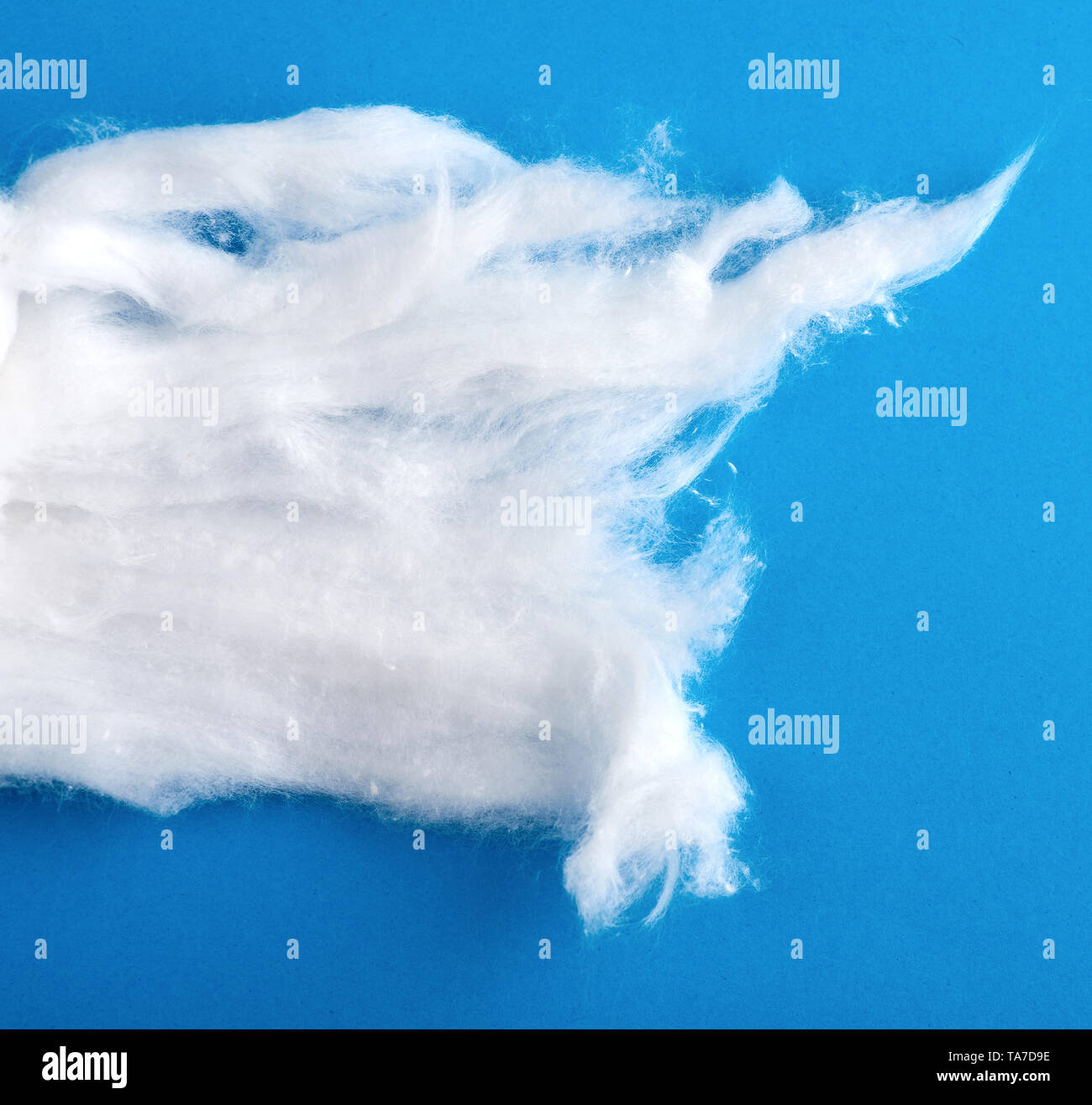 Torn cotton wool hi-res stock photography and images - Alamy