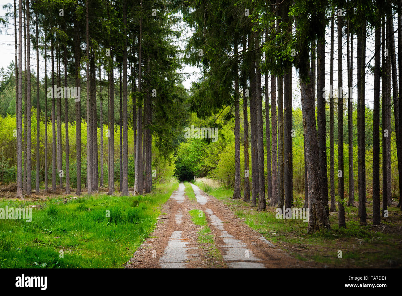 Sumava Bohemia High Resolution Stock Photography and Images - Alamy