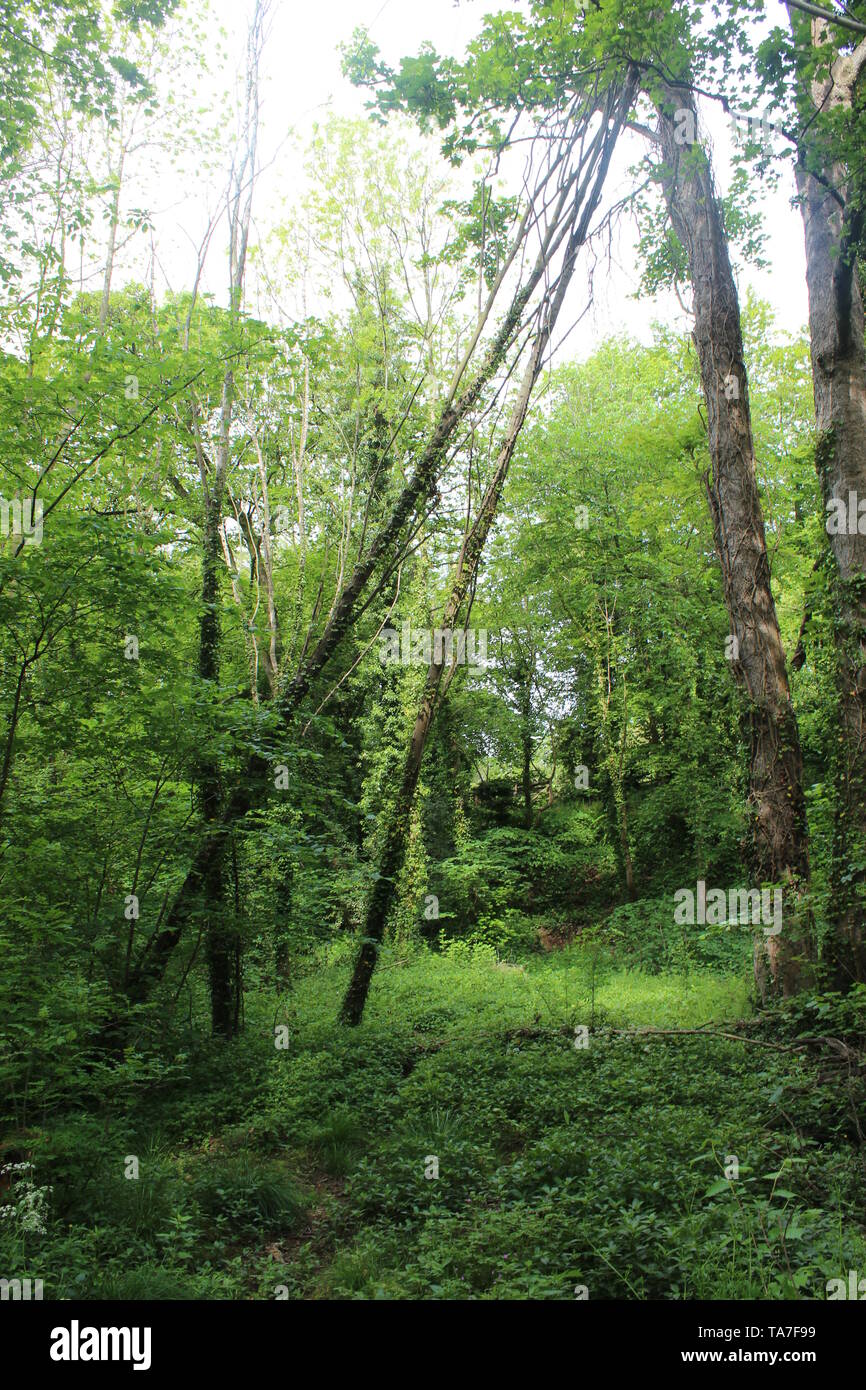 Millwright charles howard hi-res stock photography and images - Alamy