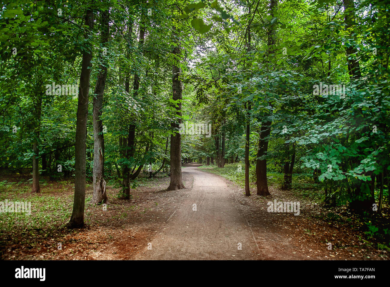 Old and shady hi-res stock photography and images - Alamy