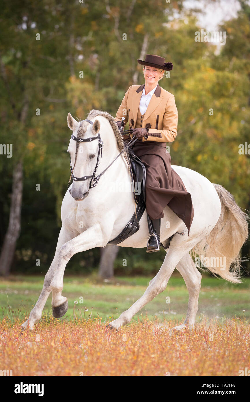 Western Pleasure Andalusian Horses