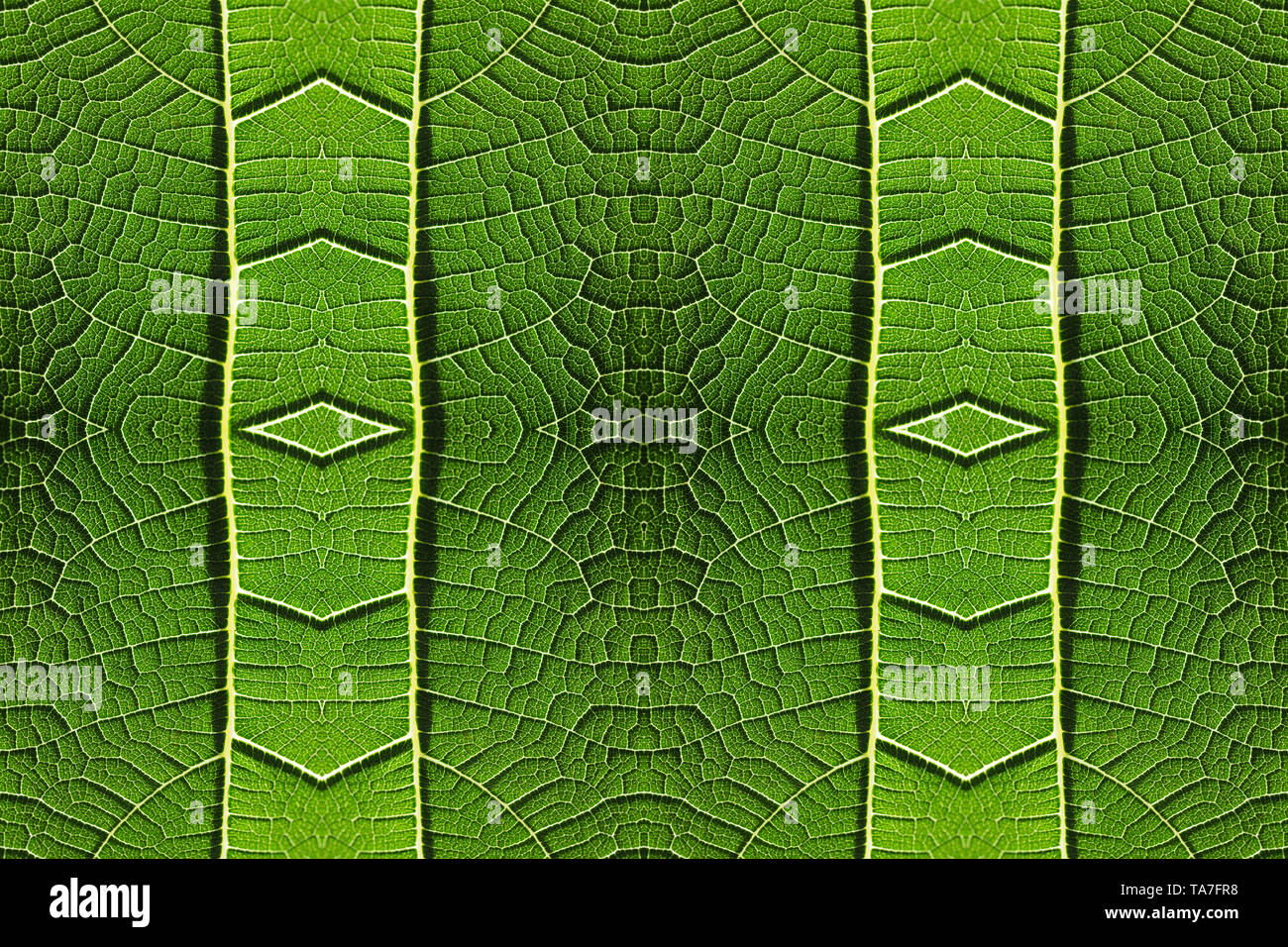 Details pattern hi-res stock photography and images - Alamy