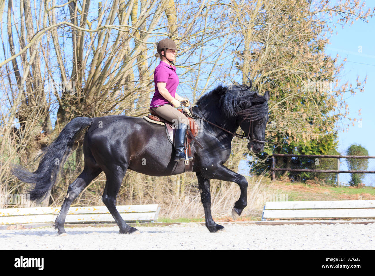 Spanish horse rider hi-res stock photography and images - Alamy