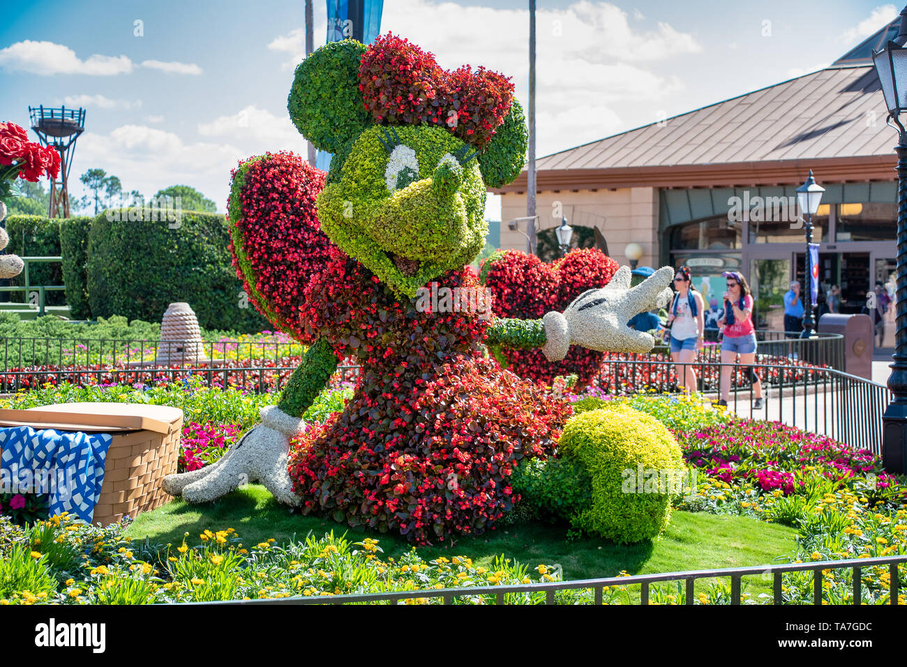 ORLANDO, USA. 29TH APRIL 2019: Minnie Mouse topiary display figure on ...