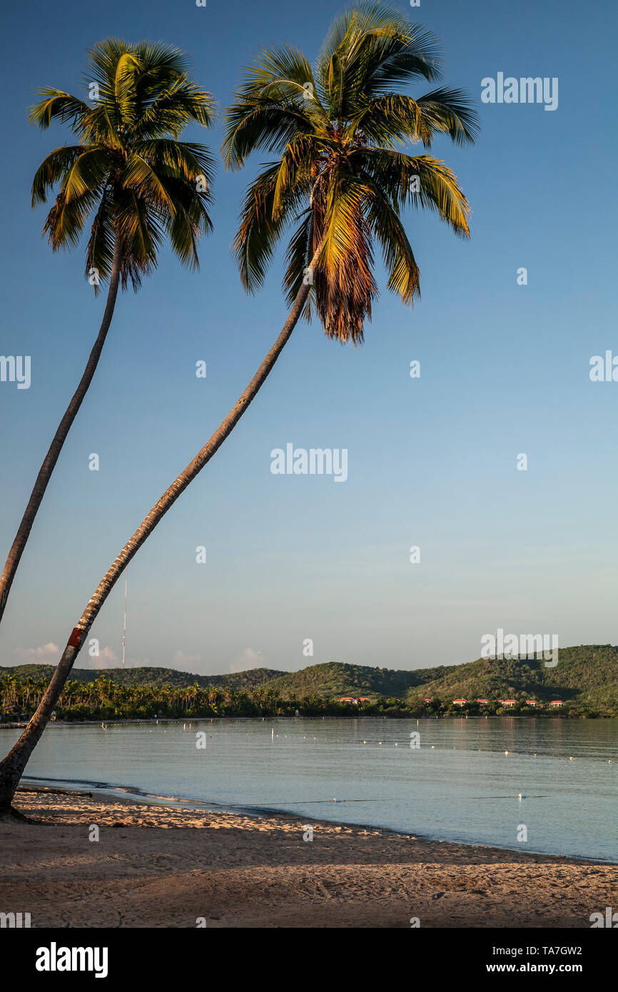 Palm trees and Boqueron Beach, Boqueron, Puerto Rico Stock Photo - Alamy