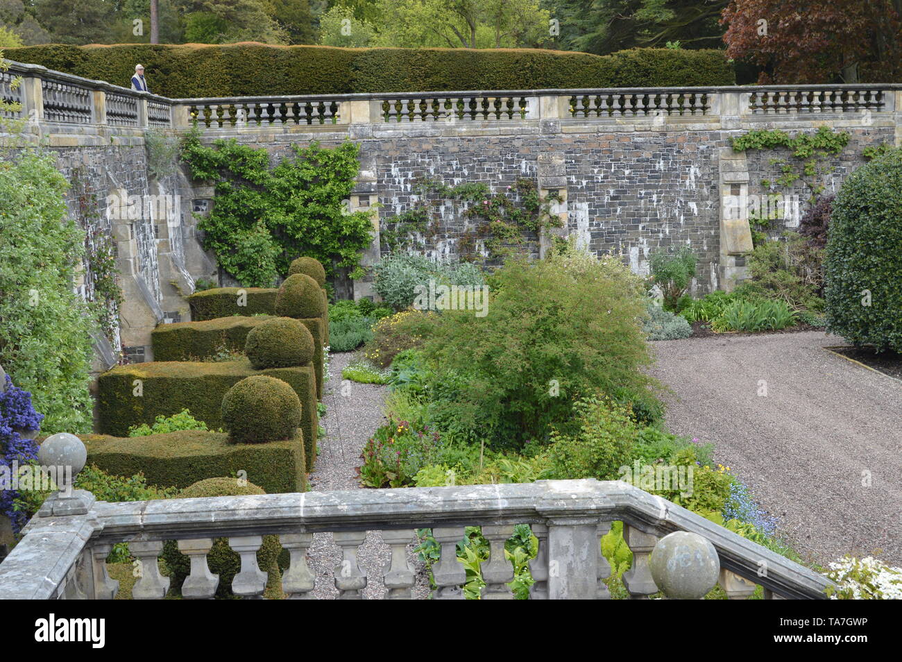 The beautiful formal gardens of Balcarres House, Colinsburgh, Fife ...