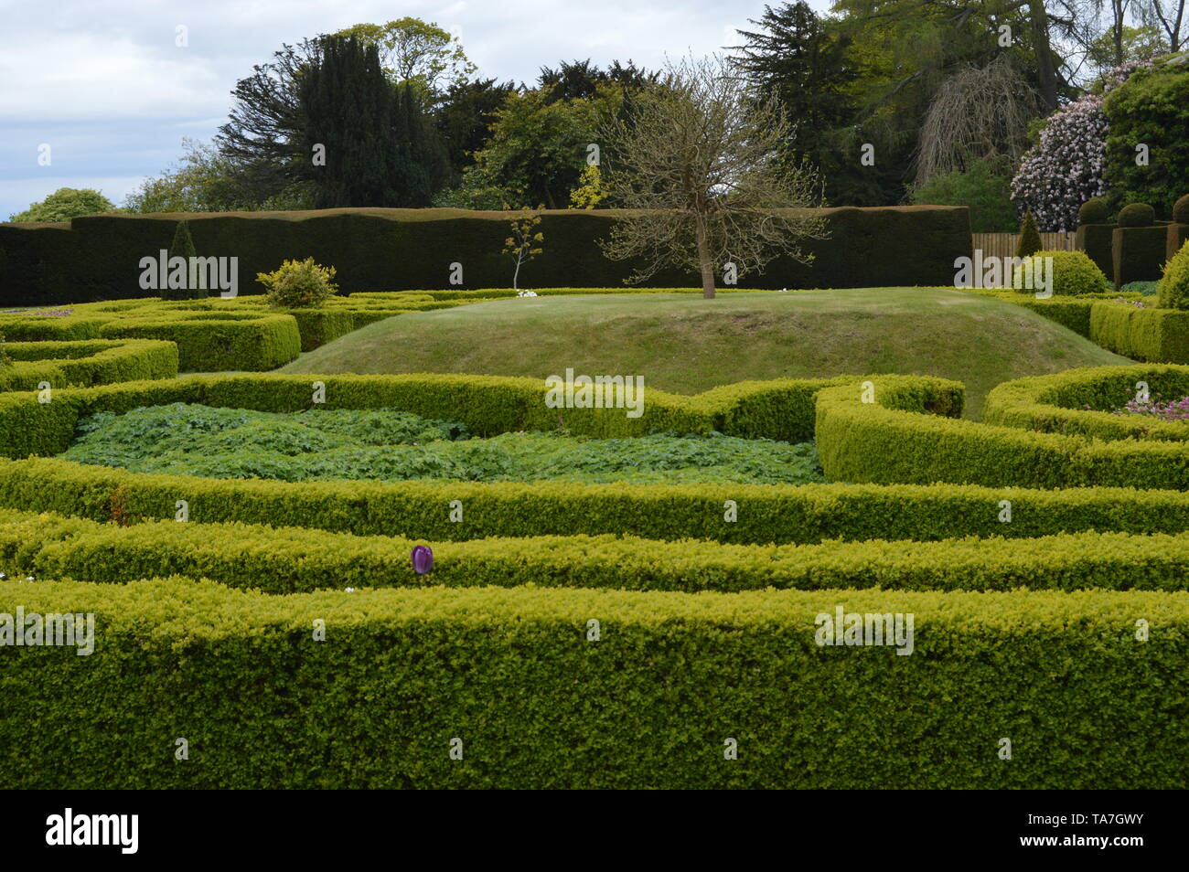 The beautiful formal gardens of Balcarres House, Colinsburgh, Fife ...
