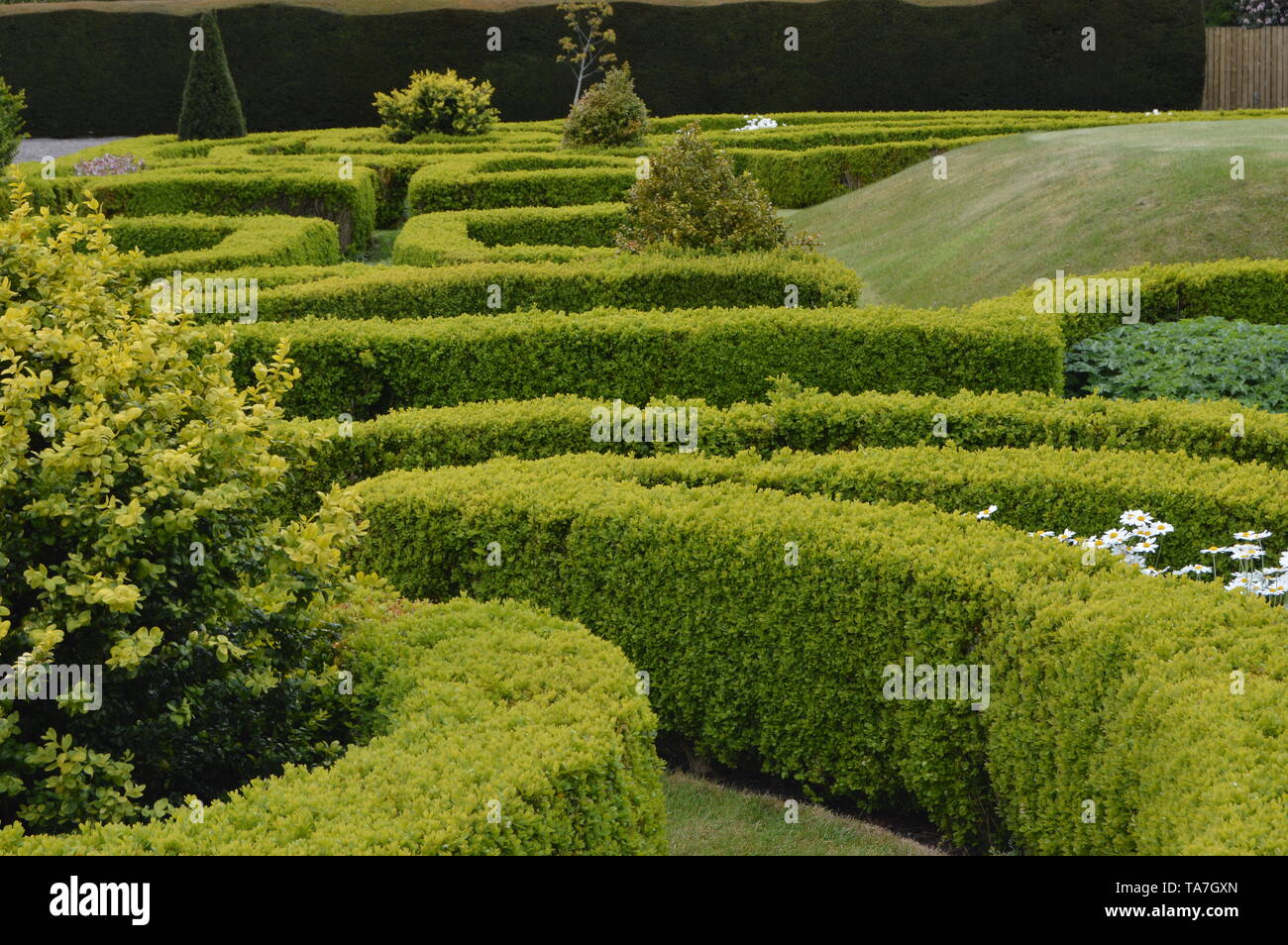 The beautiful formal gardens of Balcarres House, Colinsburgh, Fife ...