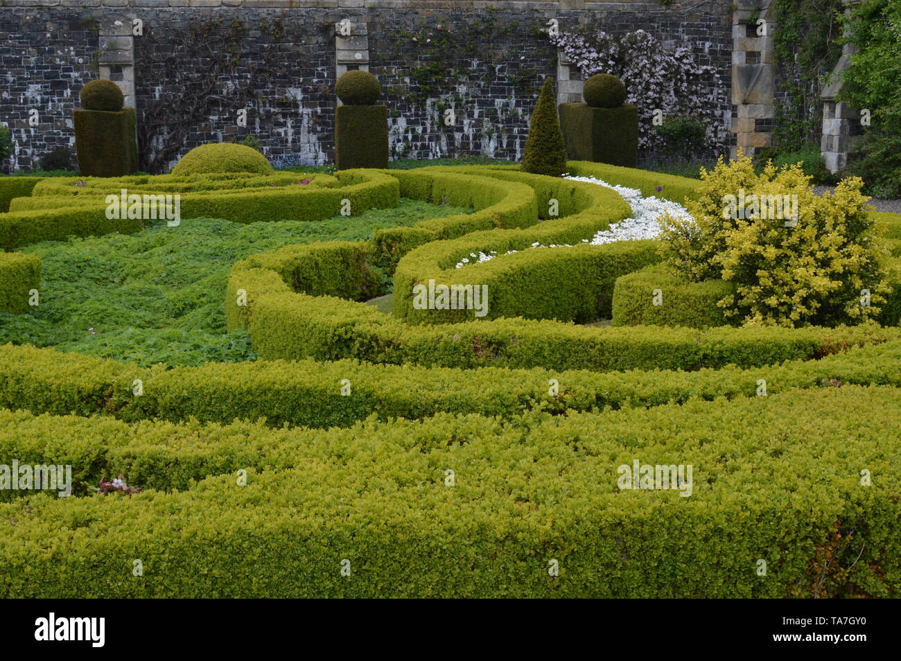 The beautiful formal gardens of Balcarres House, Colinsburgh, Fife ...