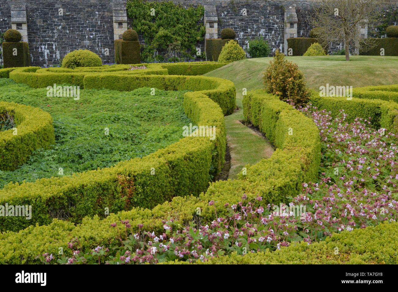 The beautiful formal gardens of Balcarres House, Colinsburgh, Fife ...