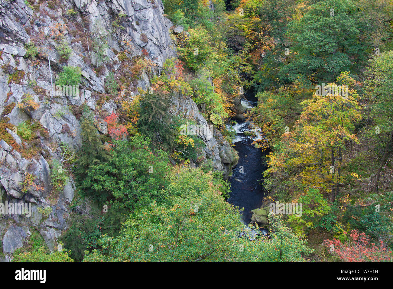 View into the Bode Gorge. Harz Mountains, Saxony-Anhalt Germany Stock ...