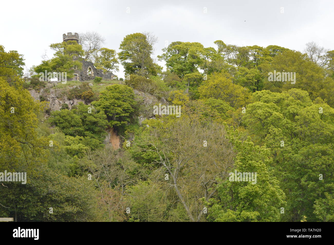 Folly on the crag above Balcarres House and Gardens, Colinsburgh, Fife ...
