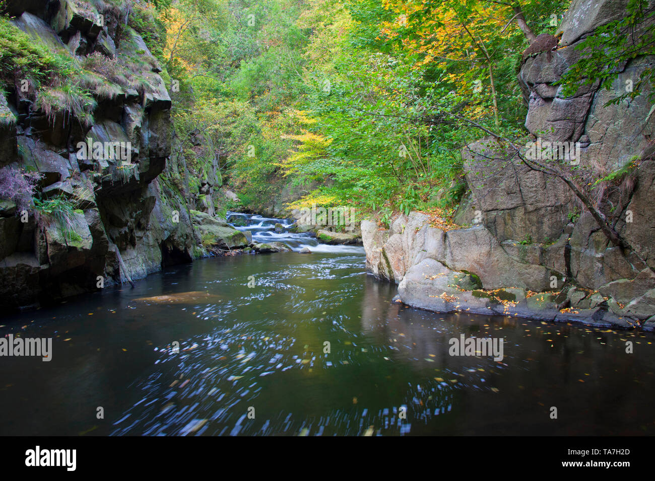 River bode in autumn bode gorge nature reserve hi-res stock photography ...
