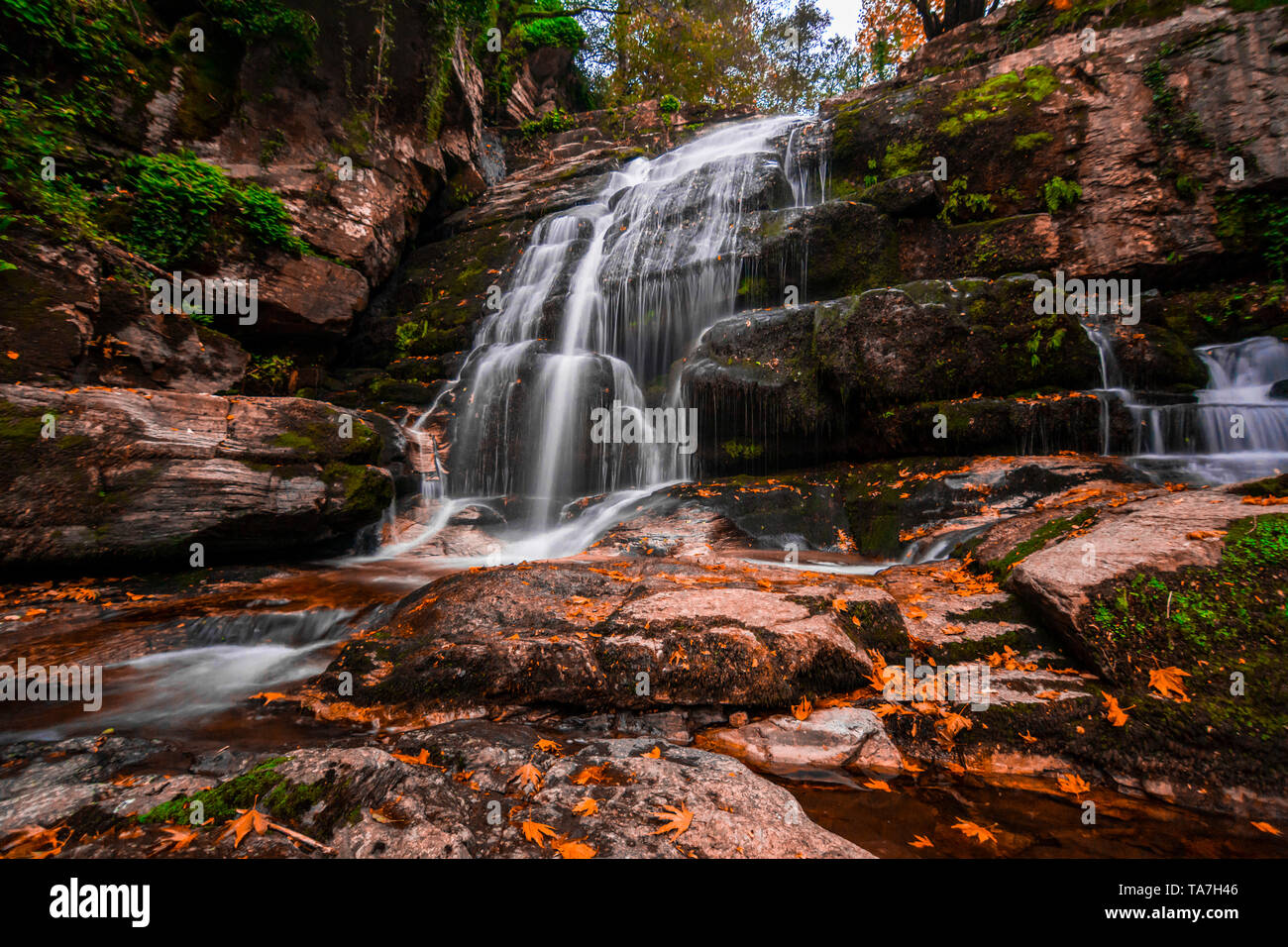 Autumn colors with waterfall and leaves Stock Photo - Alamy